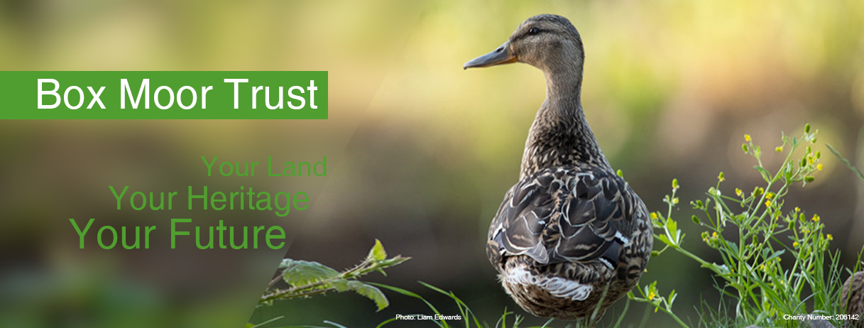 The Box Moor Trust - Page 3 of 31 - Your land, your heritage, your future