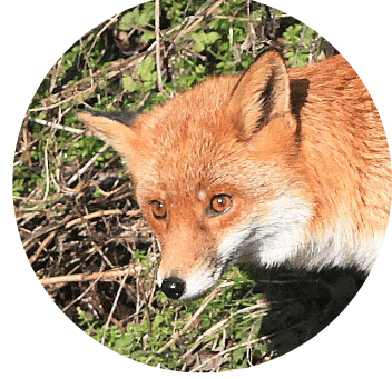 Team Archive - The Box Moor Trust