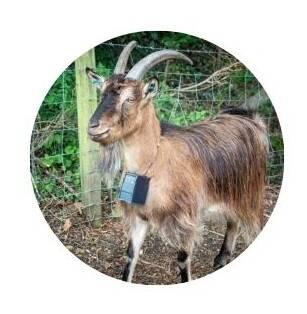 Team Archive - The Box Moor Trust