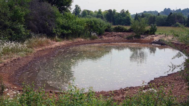The Box Moor Trust in Hemel Hempstead & Bovingdon