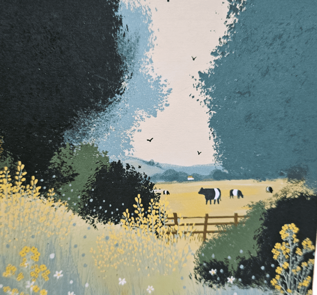 Belted Galloway Card "Field of Dreams" - The Box Moor Trust