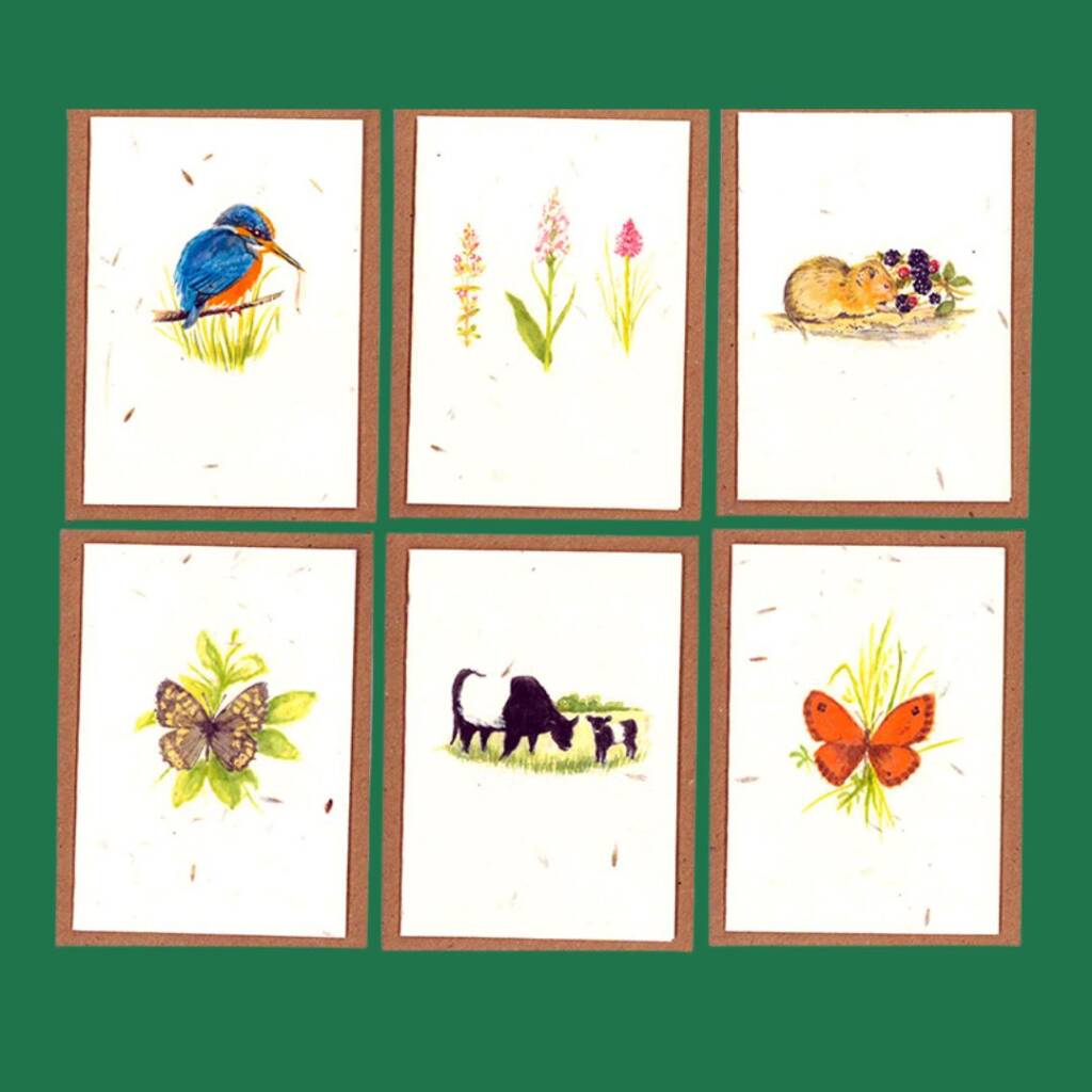 Seed Paper Gift cards - Set of 6 - The Box Moor Trust