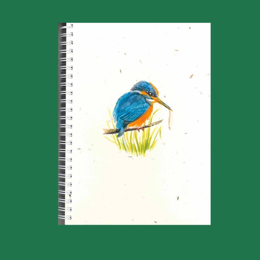 Kingfisher Seed Paper Notebook - The Box Moor Trust