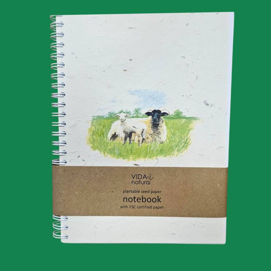 Seed Paper Note Book - Norfolk Horn Sheep and Lamb - The Box Moor Trust