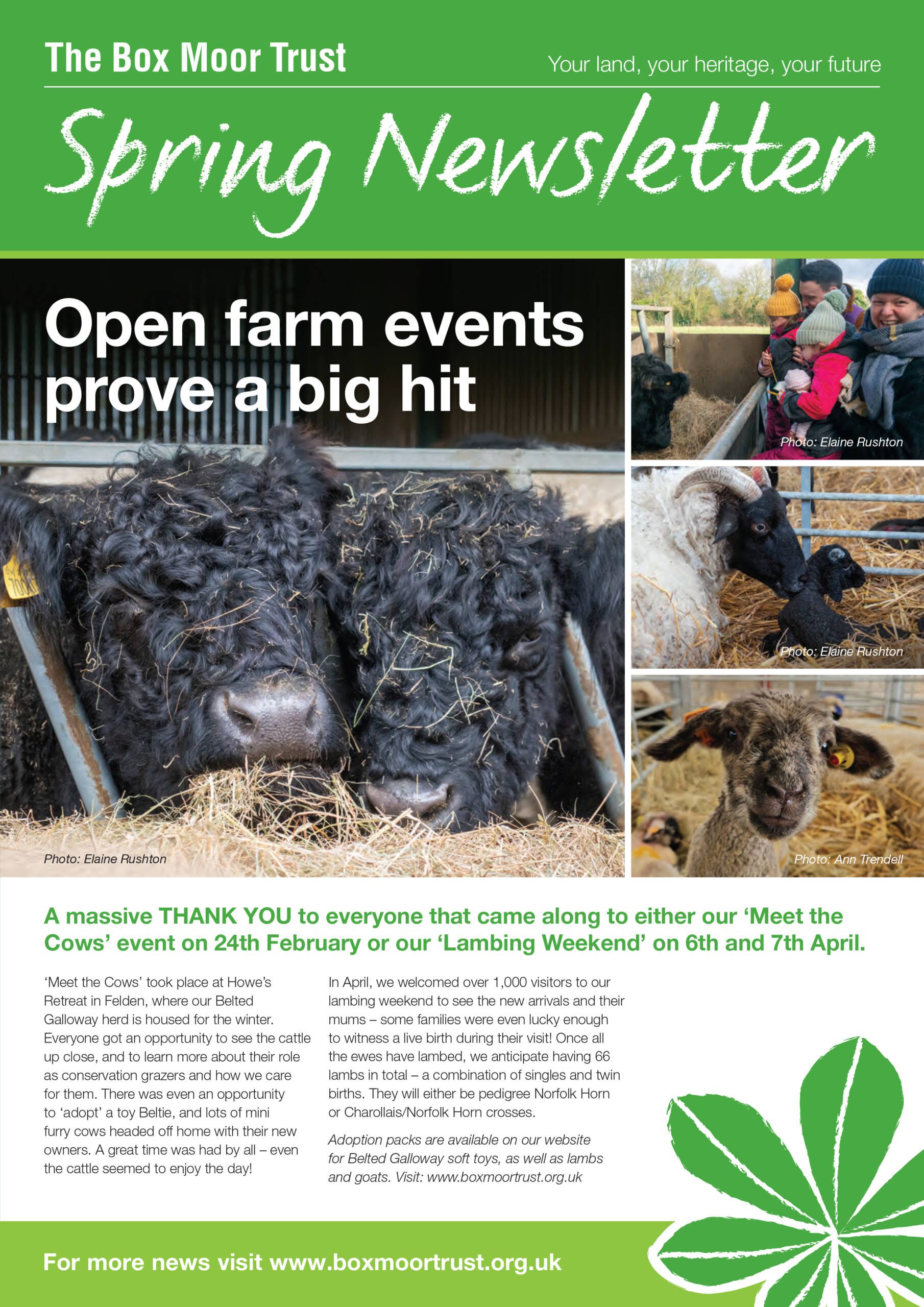 Latest Updates & News | Newsletter | The Box Moor Trust